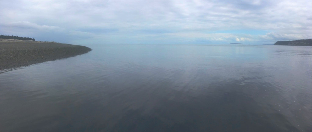 Lessons from Water - Zoe Darling